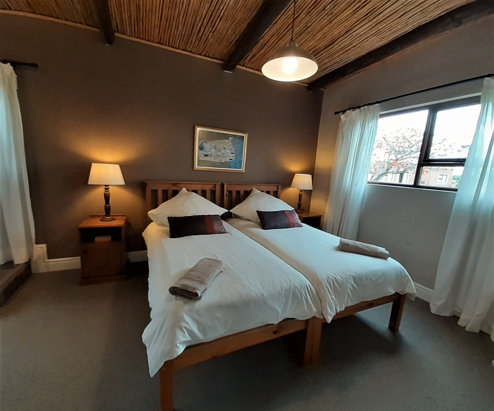 Featured Gallery – Assegaai Trails